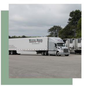 Cold Chain Logistics Company | Witte Bros. Exchange